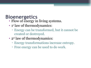 Enzymes and energy | PPT
