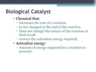 Enzymes and energy | PPT