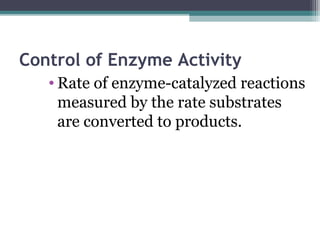 Enzymes and energy | PPT