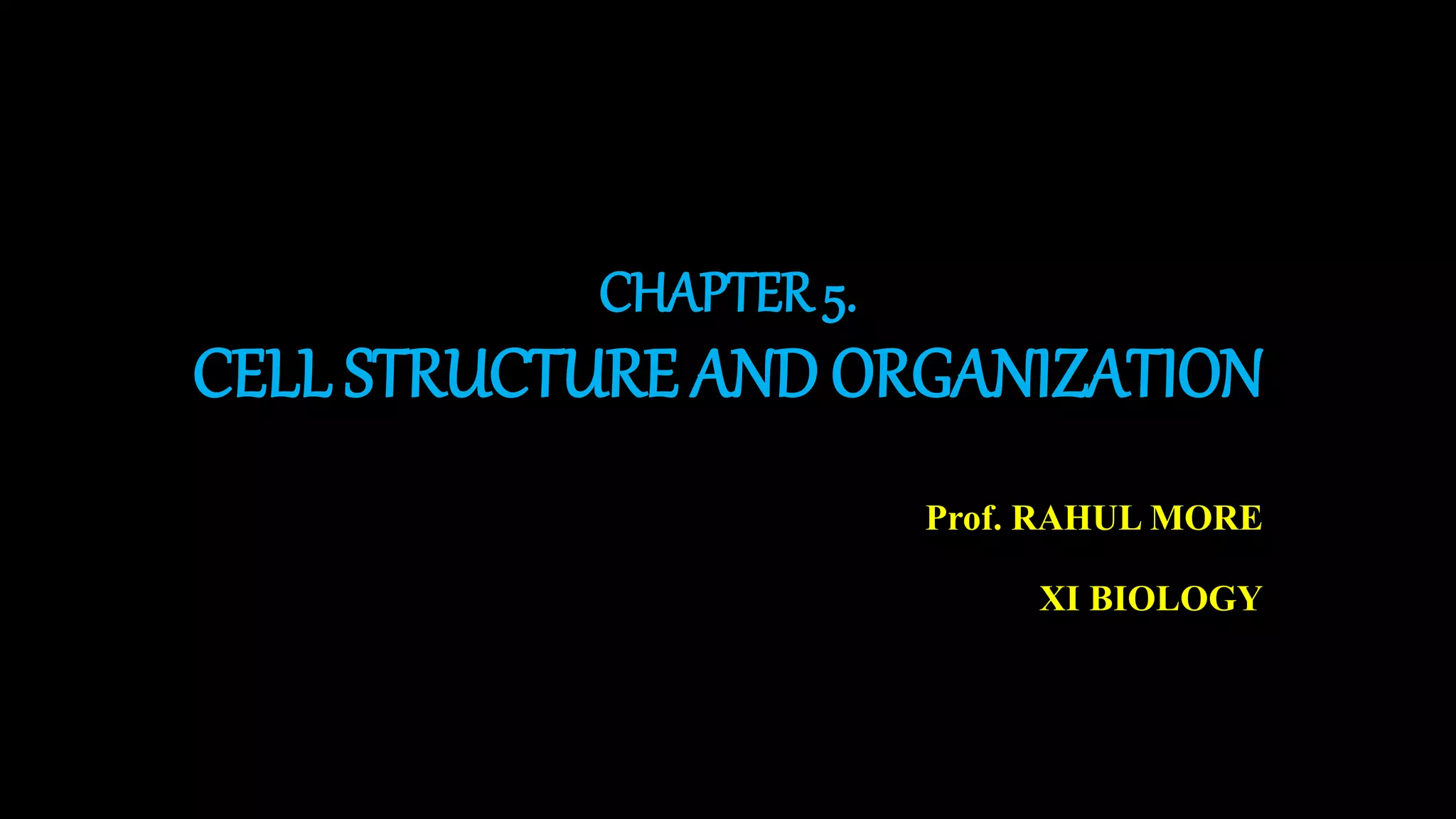 Chp5.cell structure and organization | PPTX | Biological Sciences | Science