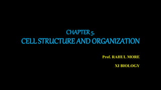 Chp5.cell structure and organization | PPT