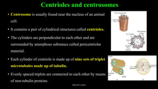 Chp5.cell structure and organization | PPT
