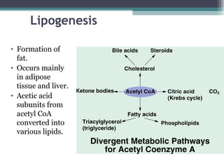 Cell respiration and metabolism | PPT