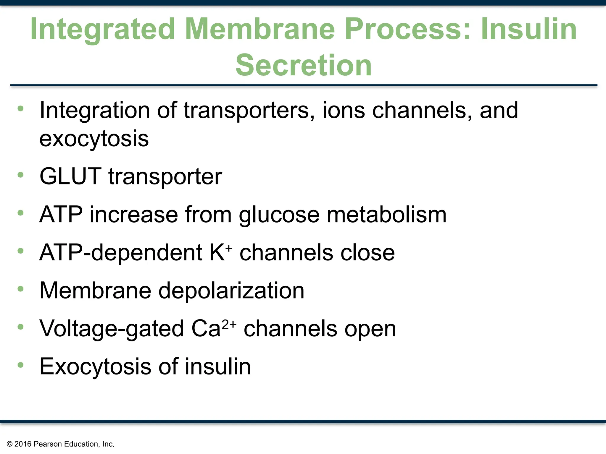 Membrane Transport - Human Physiology Chapter 5 | PPTX