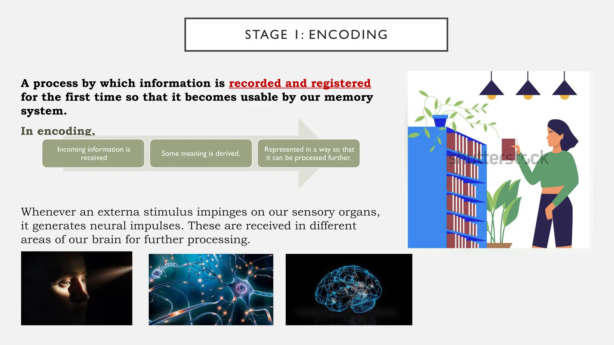PSYCHOLOGY - CHAPTER 7- HUMAN MEMORY.pptx