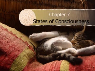 Chp,7 Statesof Cons | PPT