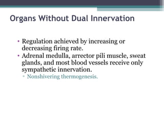 The autonomic nervous system | PPT