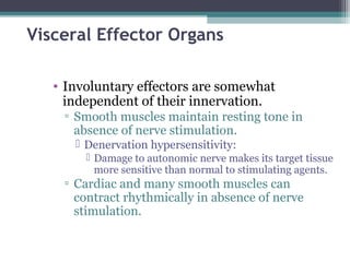 The autonomic nervous system | PPT