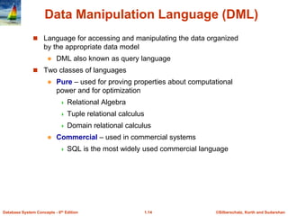 Chpater 1 introduction to DBMS - Basics | PPT