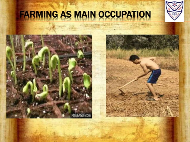 Chapter 2 hunting gathering growing foods | PPTX