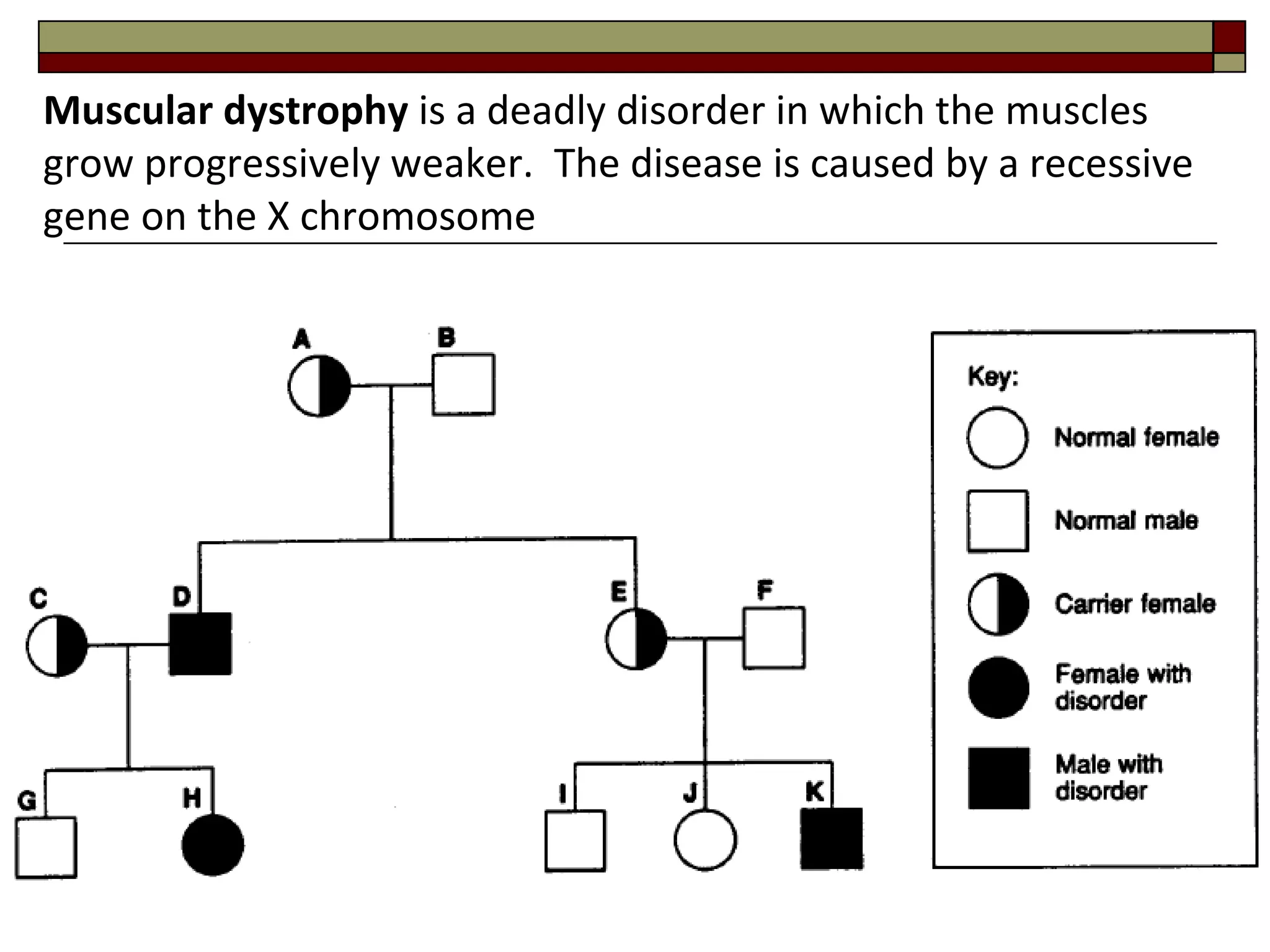 Chpt. 11.2 complex inheritance leftovers | PPT