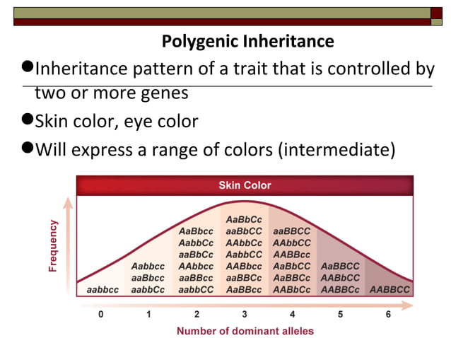 Chpt. 11.2 complex inheritance leftovers | PPT