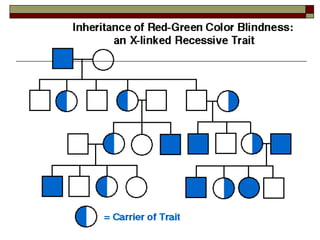 Chpt. 11.2 complex inheritance leftovers | PPT