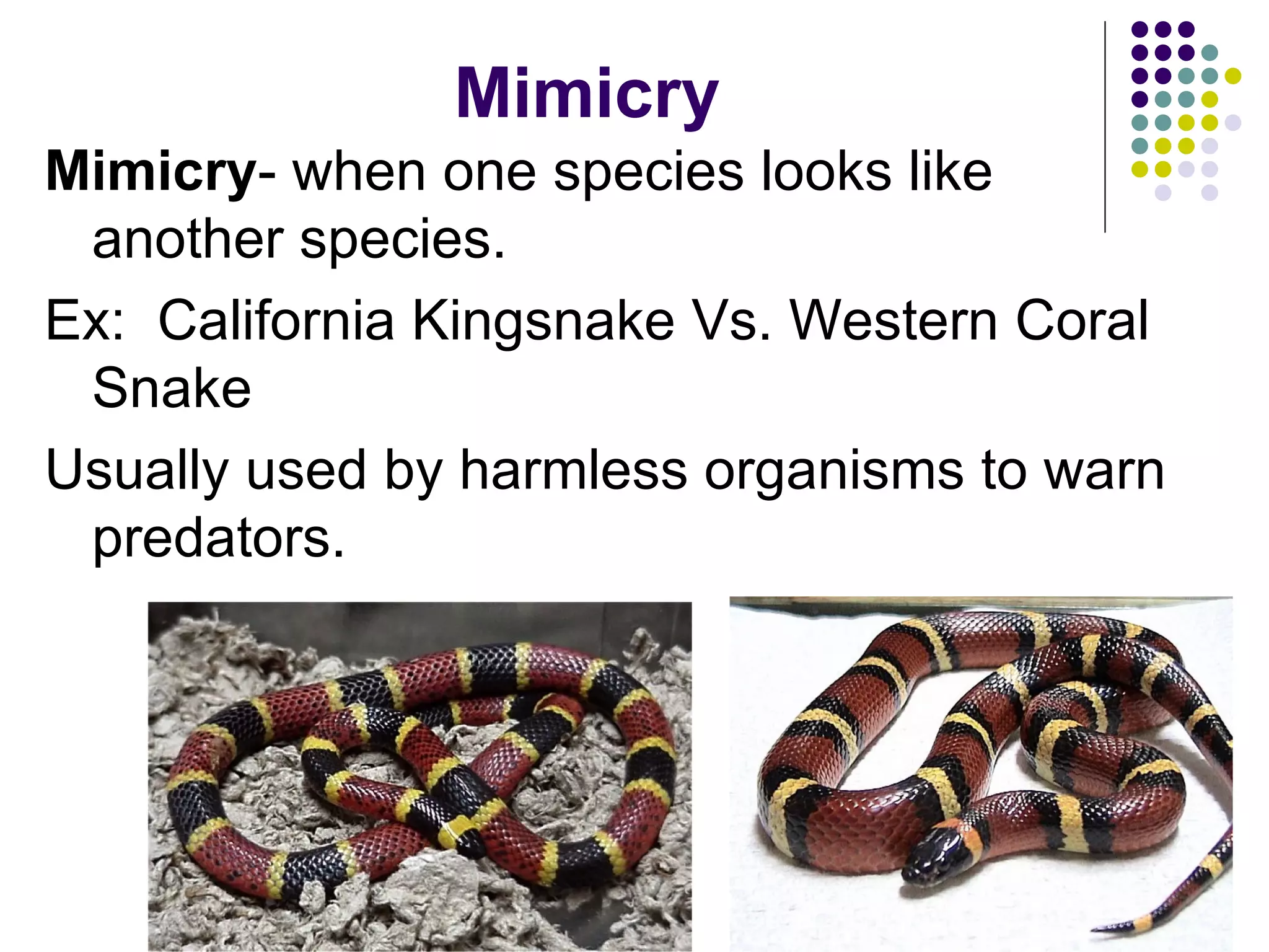 Chpt.15.2-Evidence of Change | PPT