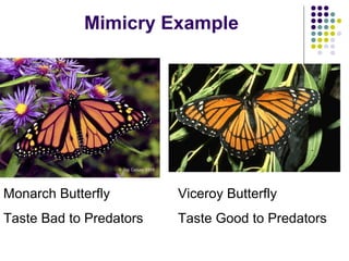 Chpt.15.2-Evidence of Change | PPT