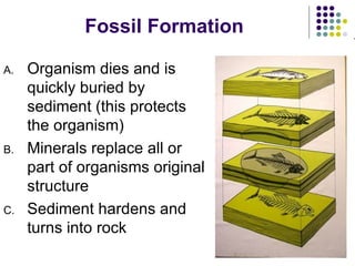 Chpt.15.2-Evidence of Change | PPT