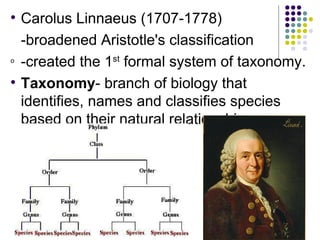 Chpt. 17.1-History of Classification | PPT | Biological Sciences | Science