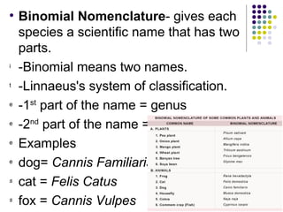 Chpt. 17.1-History of Classification | PPT | Biological Sciences | Science