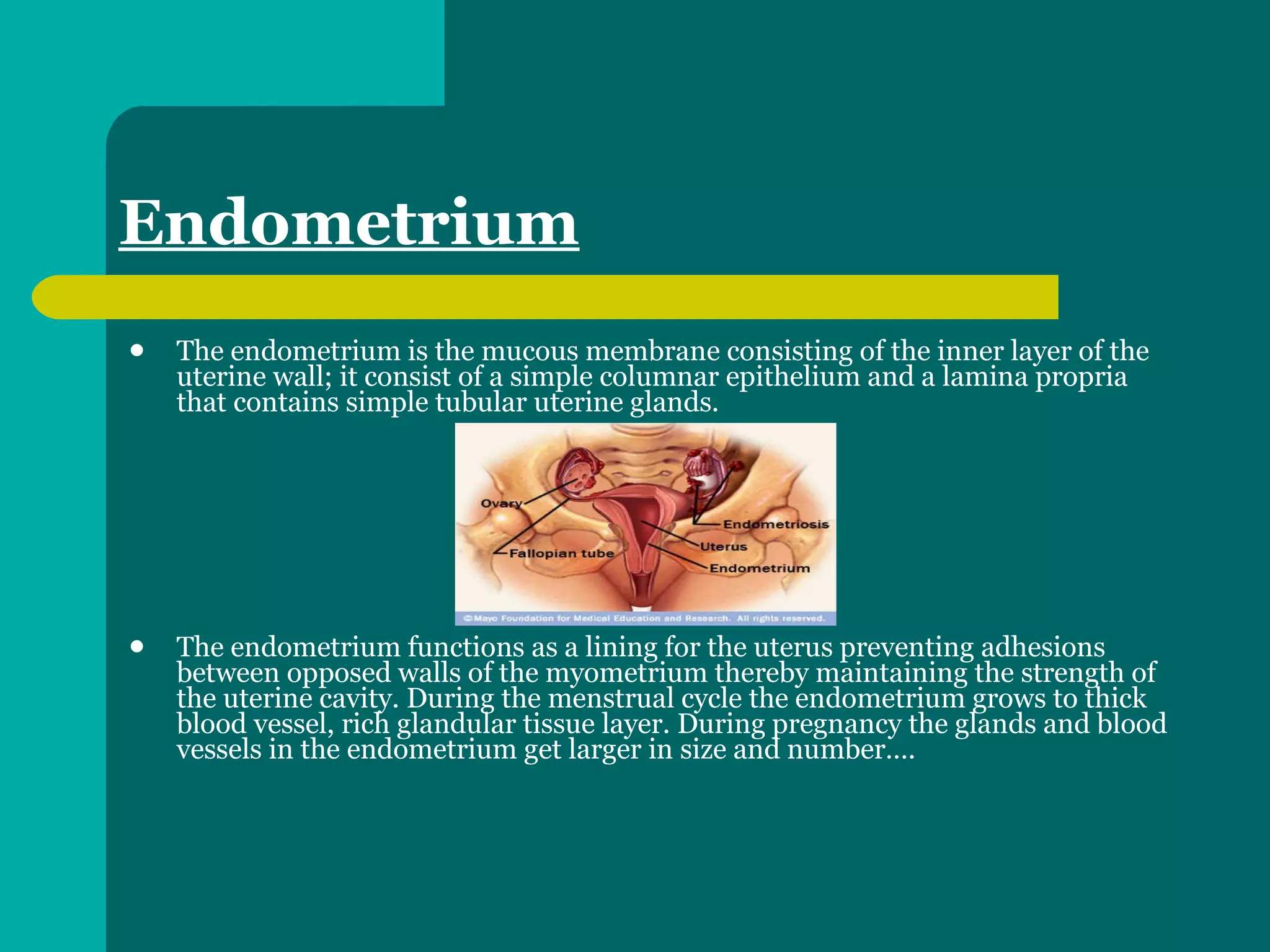 Chpt 10 Presentation | PPT