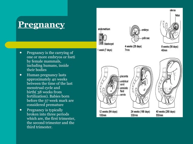 Chpt 10 Presentation | PPT
