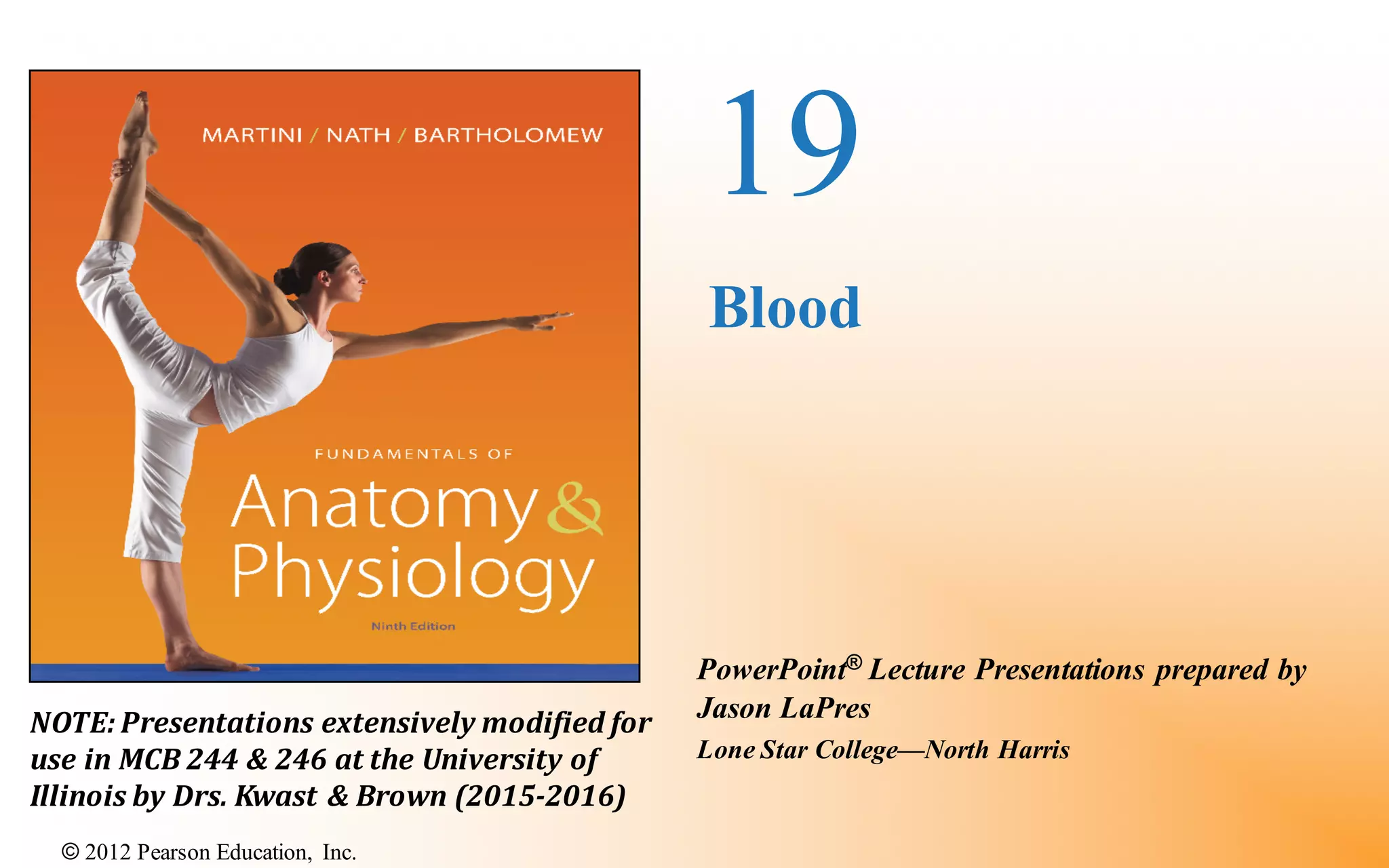 Chpt_19_Brown_SU16.pdf