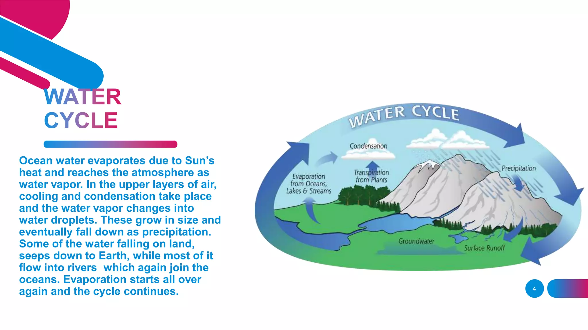 Water & it's circulation | PPTX