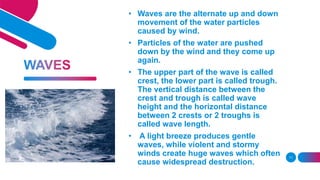 Water & it's circulation | PPTX