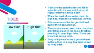 Water & it's circulation | PPTX