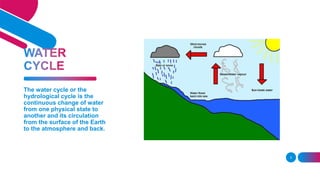 Water & it's circulation | PPT