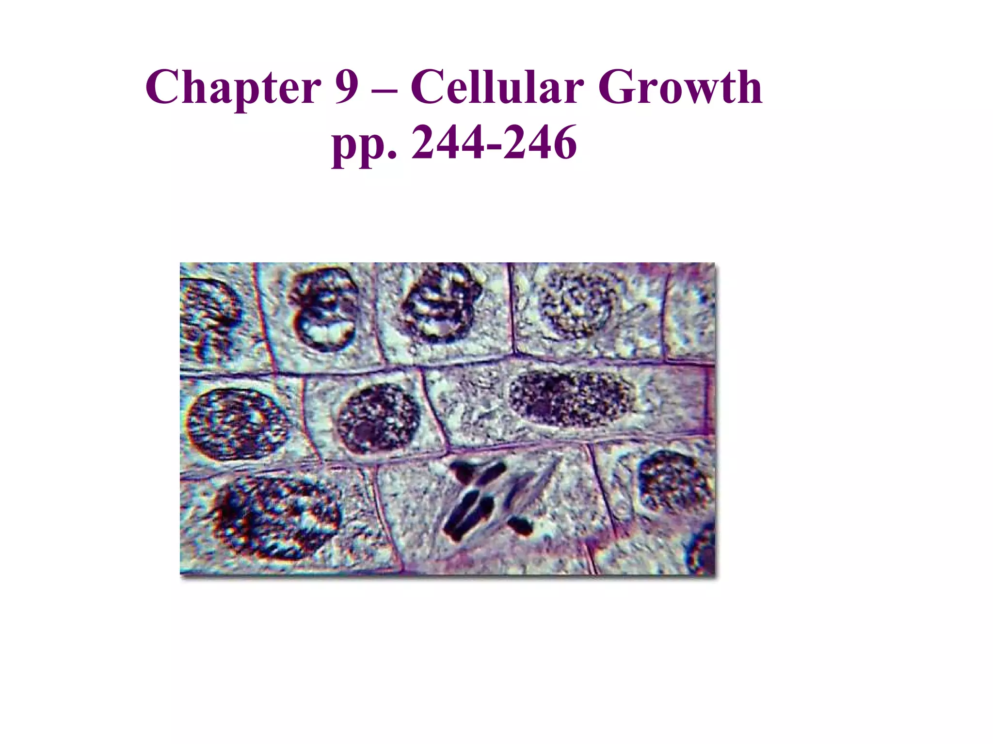 Chpt9.1 cellular growth | PPT