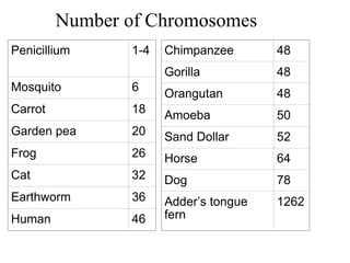 Chpt9.1 cellular growth | PPT