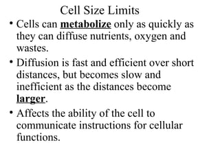 Chpt9.1 cellular growth | PPT