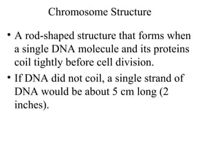Chpt9.1 cellular growth | PPT