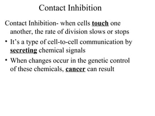 Chpt9.3 cell cycle regulation | PPT