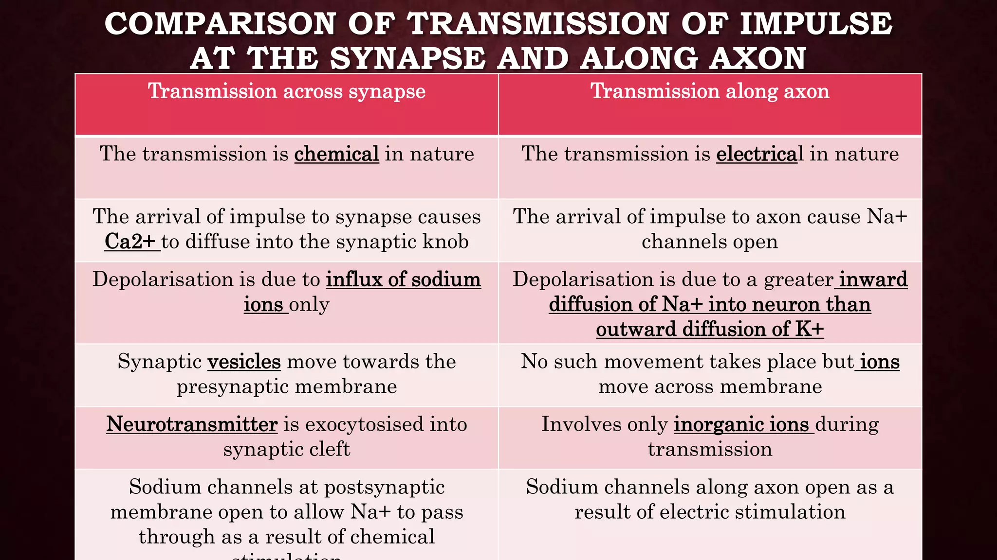 Mechanism of Impulse Transmission Across Synapse And Along Axon ...