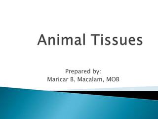 Animal Tissues | PPT