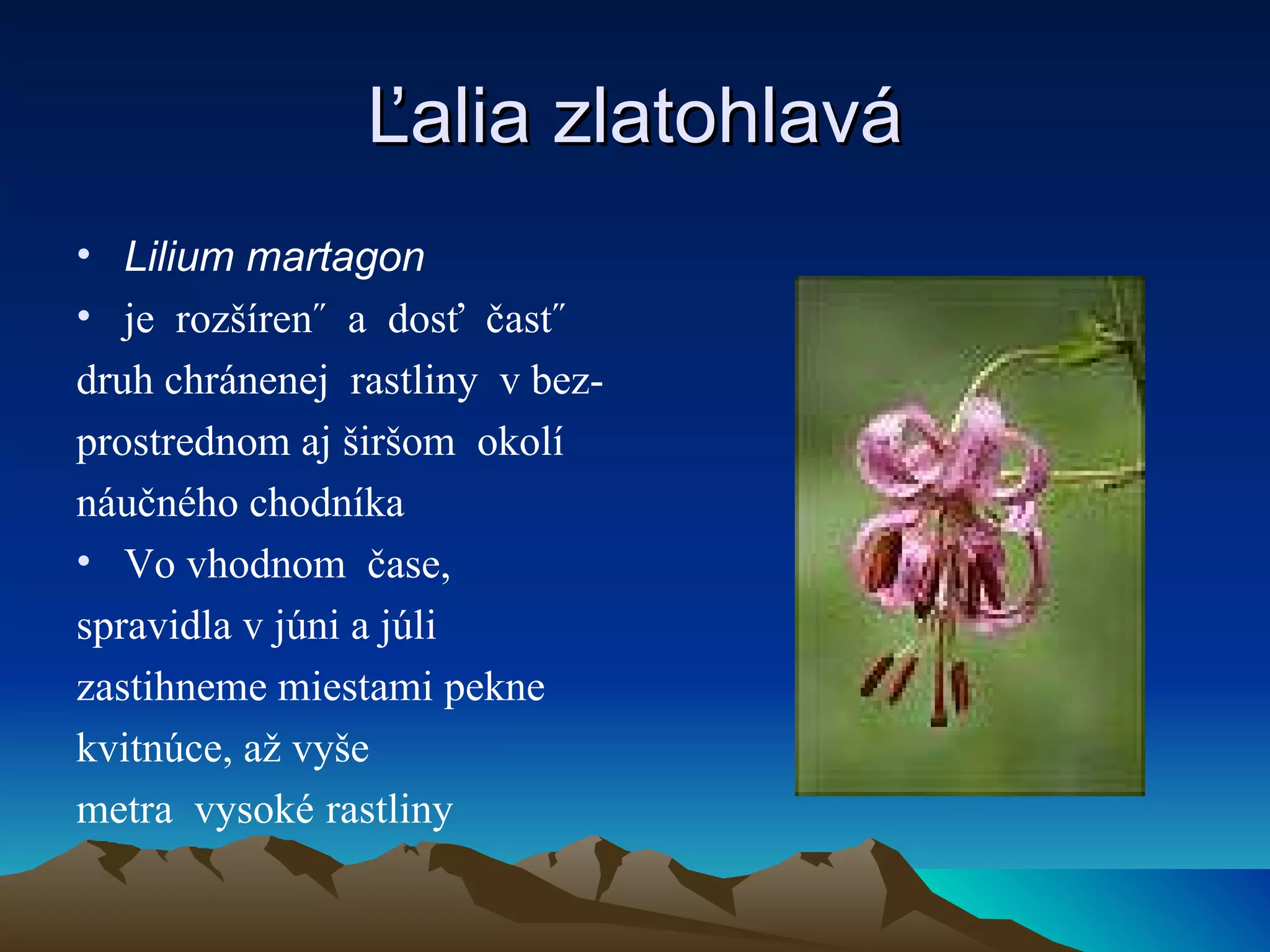Chránené rastliny Liptova | PPT
