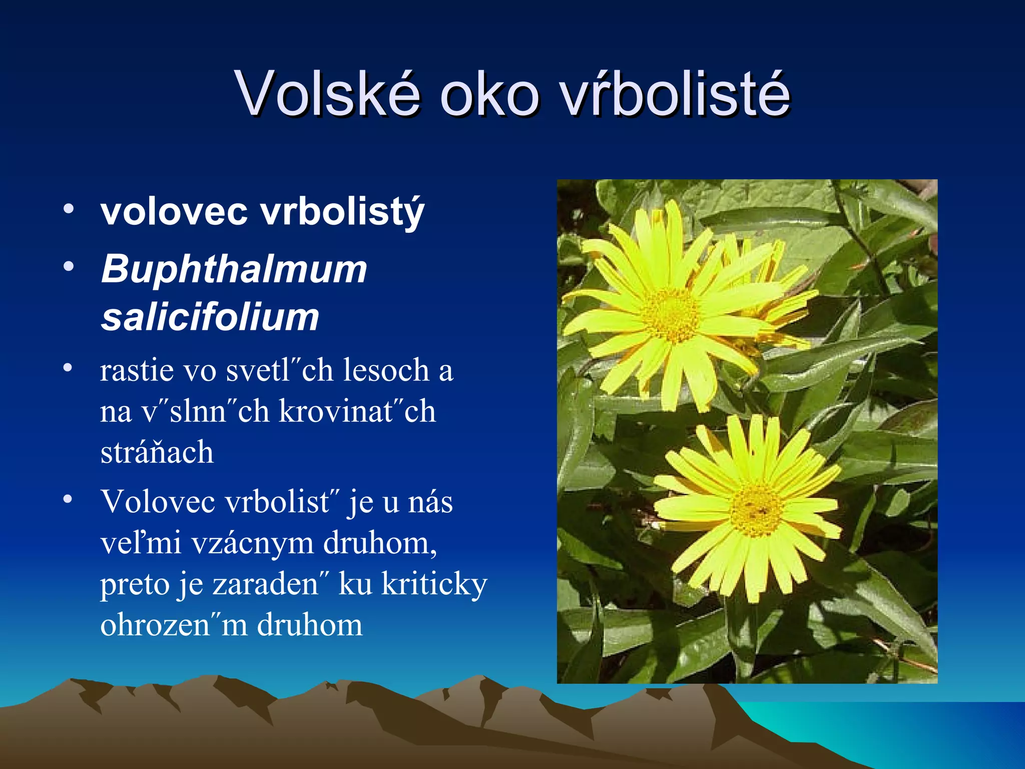 Chránené rastliny Liptova | PPT