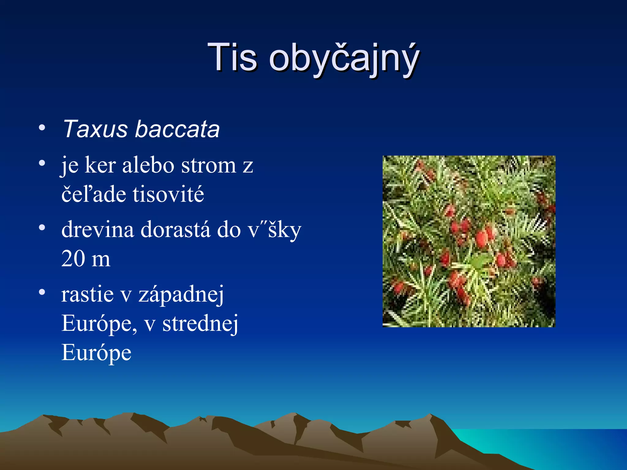 Chránené rastliny Liptova | PPT