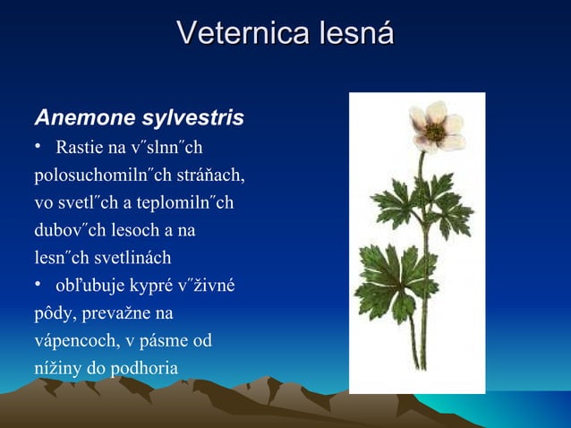 Chránené rastliny Liptova | PPT