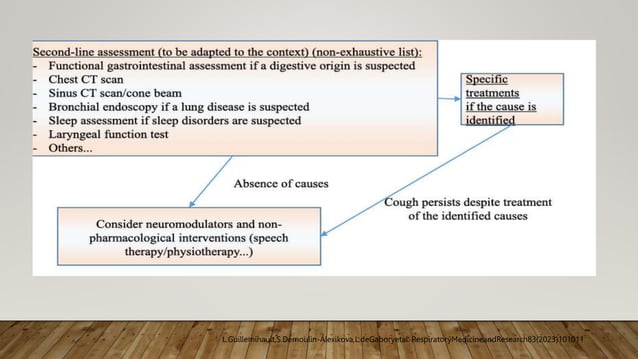Chronic Cough Presentation by DR Aiswarya Thambi Pulmonologist.pptx