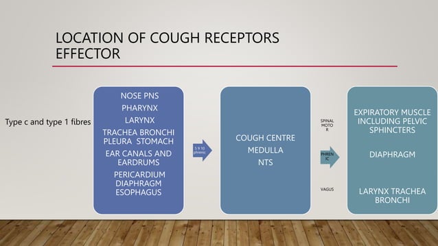 Chronic Cough Presentation by DR Aiswarya Thambi Pulmonologist.pptx