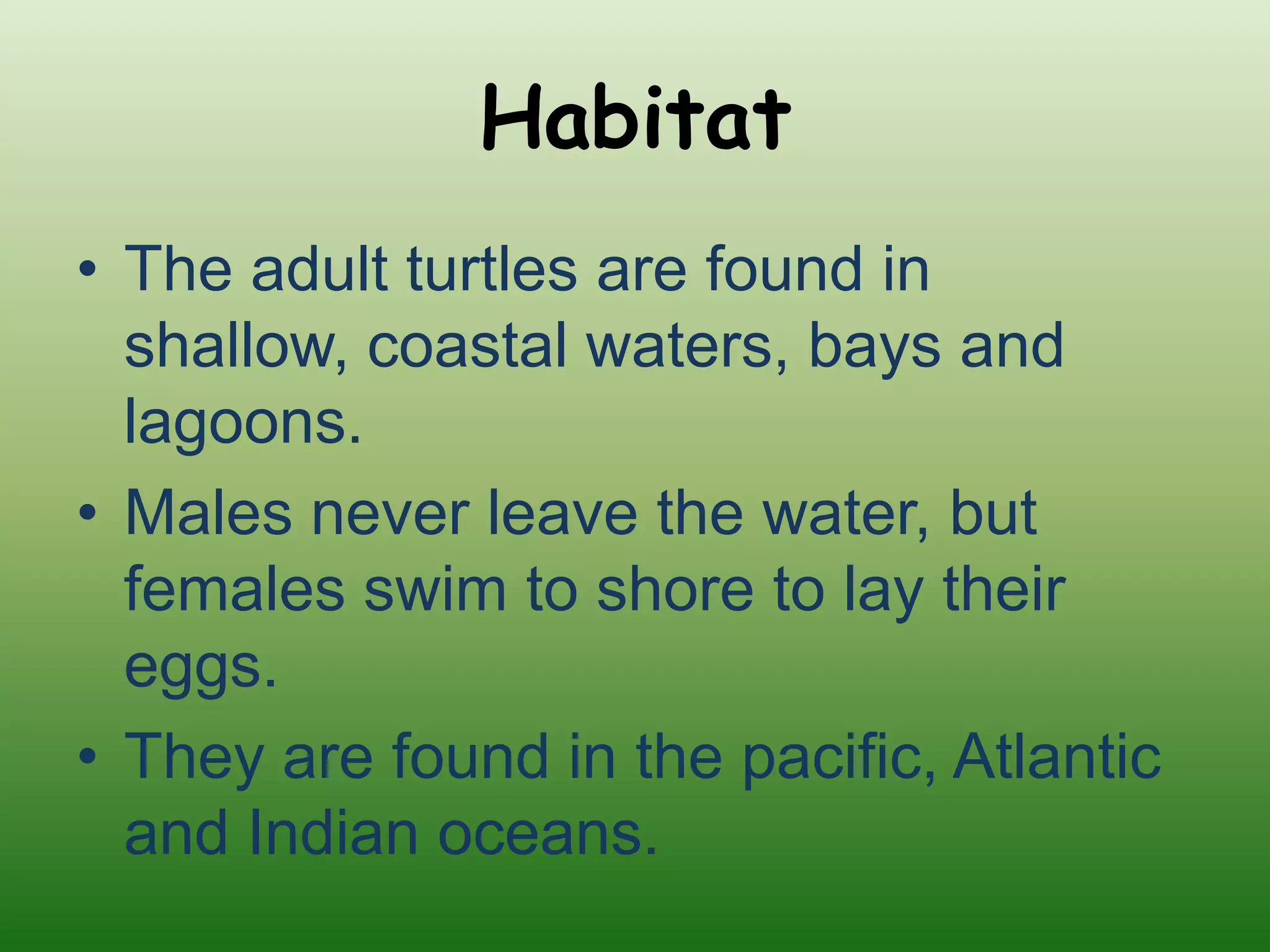 Green sea turtle | PPTX