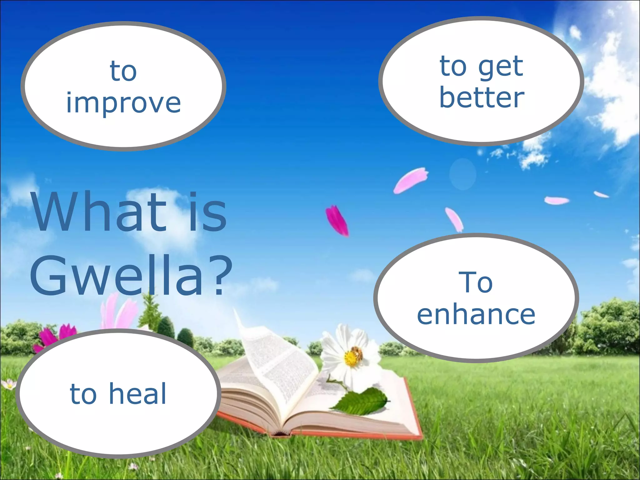 Chris and dave gregynog 2011 introduction | PPT | Education