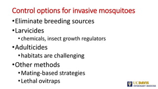 Vector biology and control | PPTX | Infectious Diseases | Diseases and ...