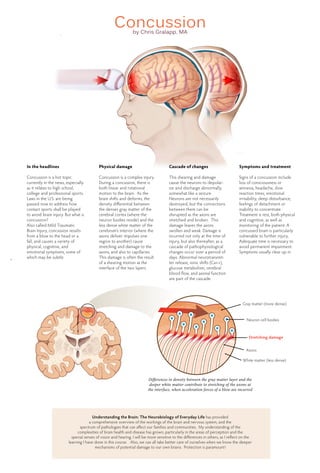 Chris Gralapp Concussion | PDF