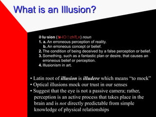 ChrisLandauer-illusions.ppt