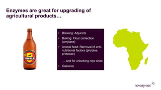 Christel Jørgensen - Novozymes | PDF