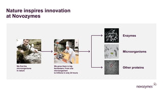 Christel Jørgensen - Novozymes | PDF