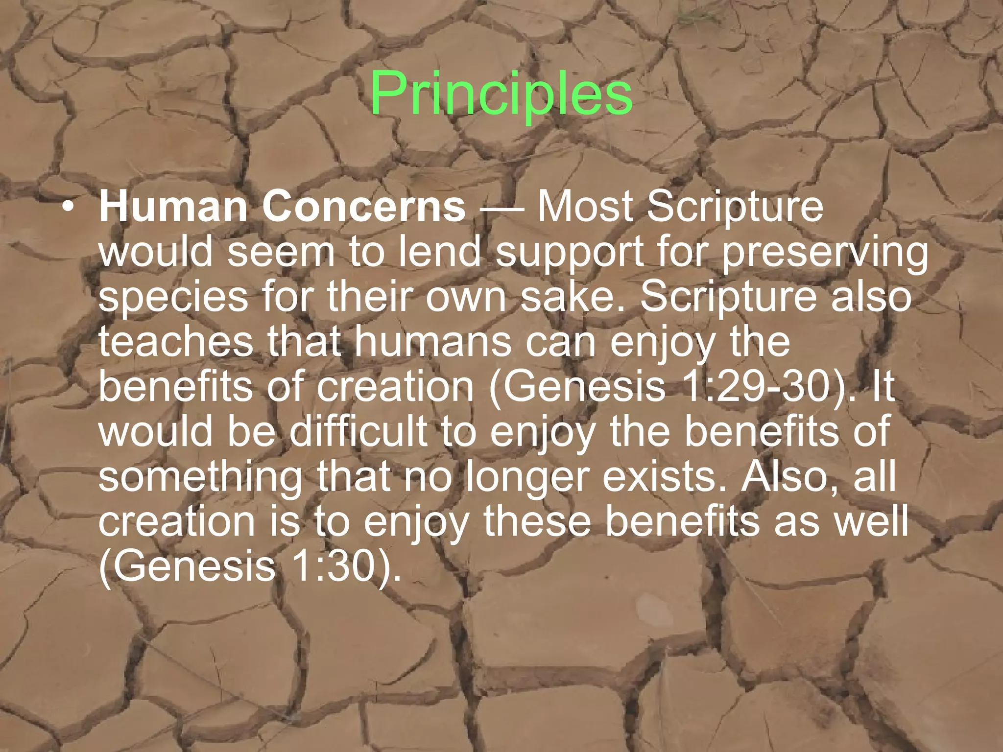 Christian Environmental Ethics | PPT